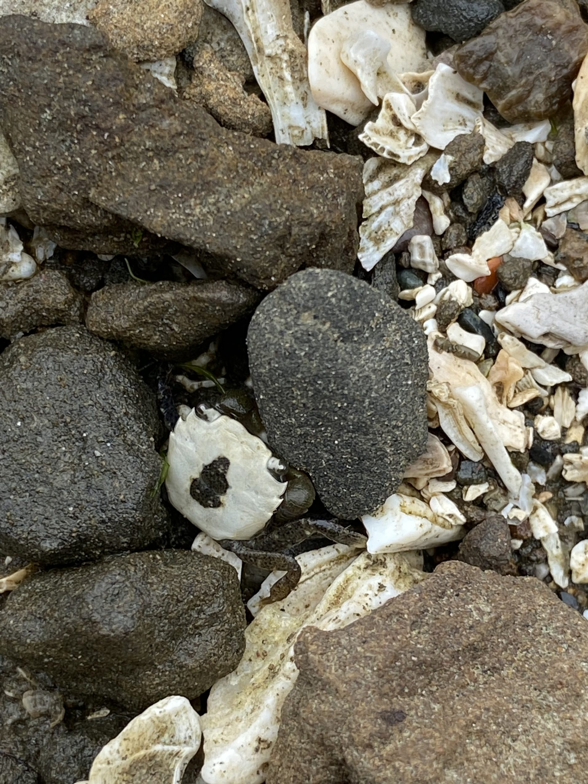 Ozette Triangle Middle School - Sahale Outdoors